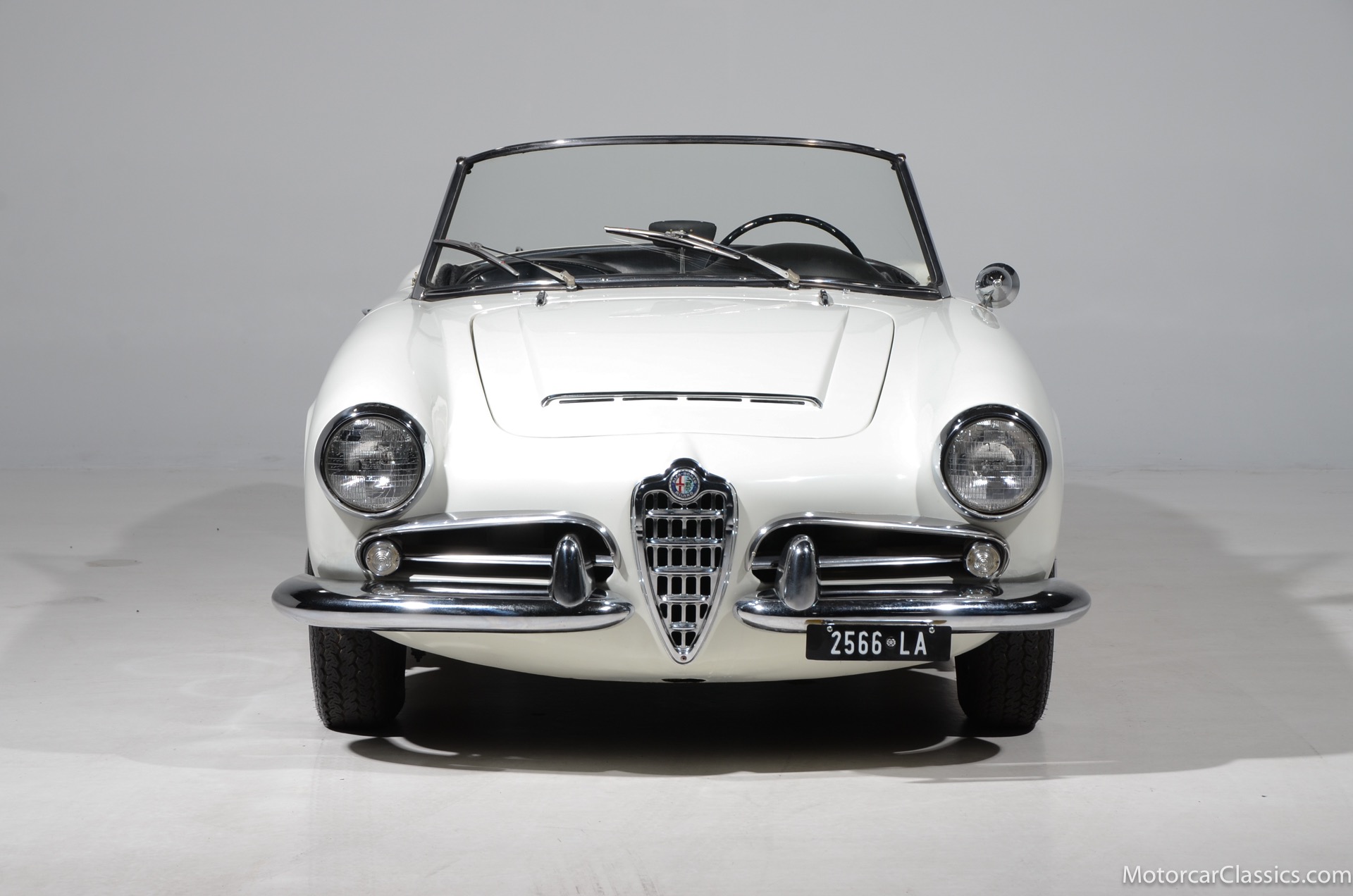 Used 1964 Alfa Romeo Giulia 1600 Spider For Sale ($74,900) | Motorcar ...