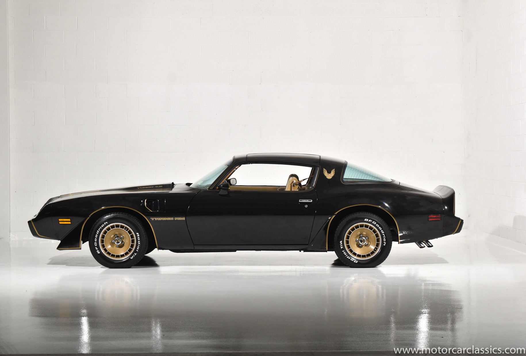 Used 1981 Pontiac Firebird Trans Am For Sale ($39,900) | Motorcar ...